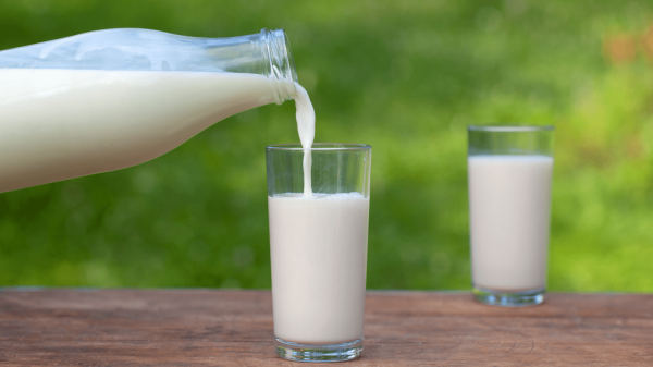 13 Testosterone-Boosting Foods - Balance My Hormones