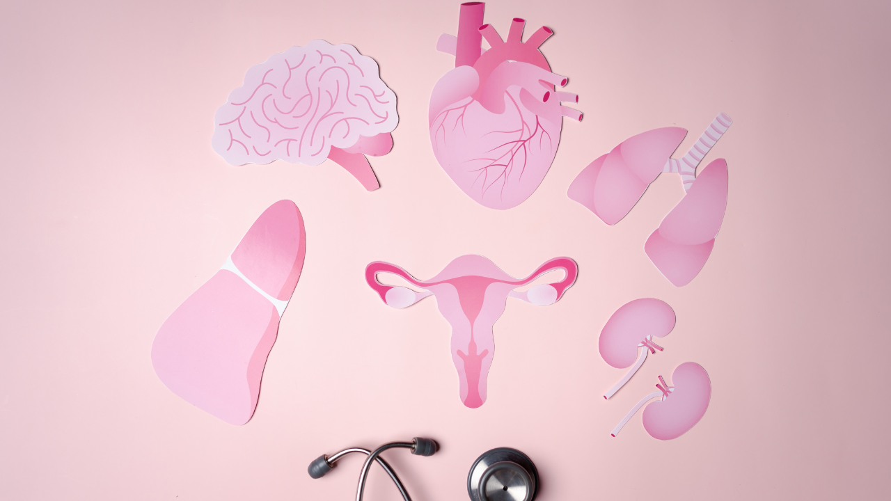 What Does Estrogen Do: Functions, Benefits & More - Balance My Hormones